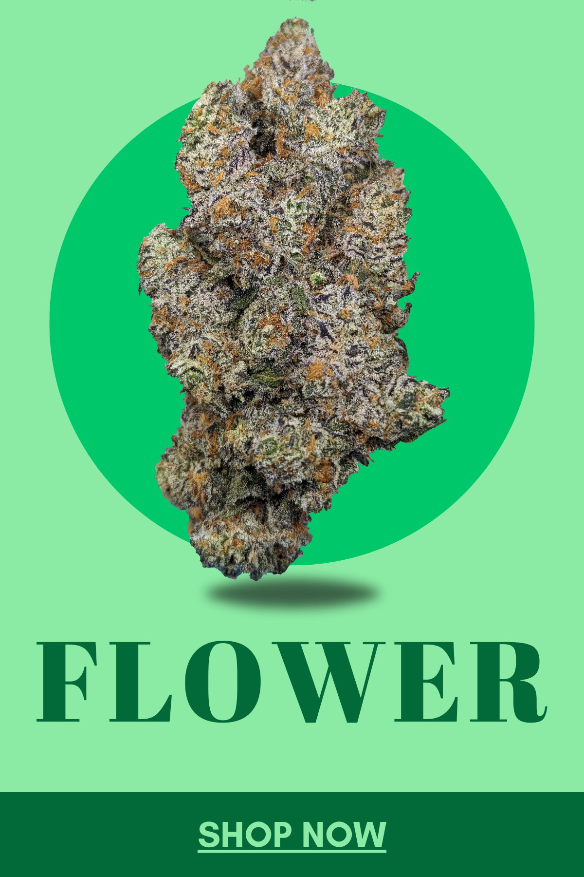 Categories - The Human Condition Shop