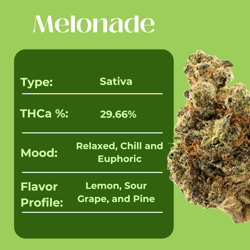 Melonade • Sativa • Top Shelf Indoor Flower • 29.66% THCa – The Human Condition Shop