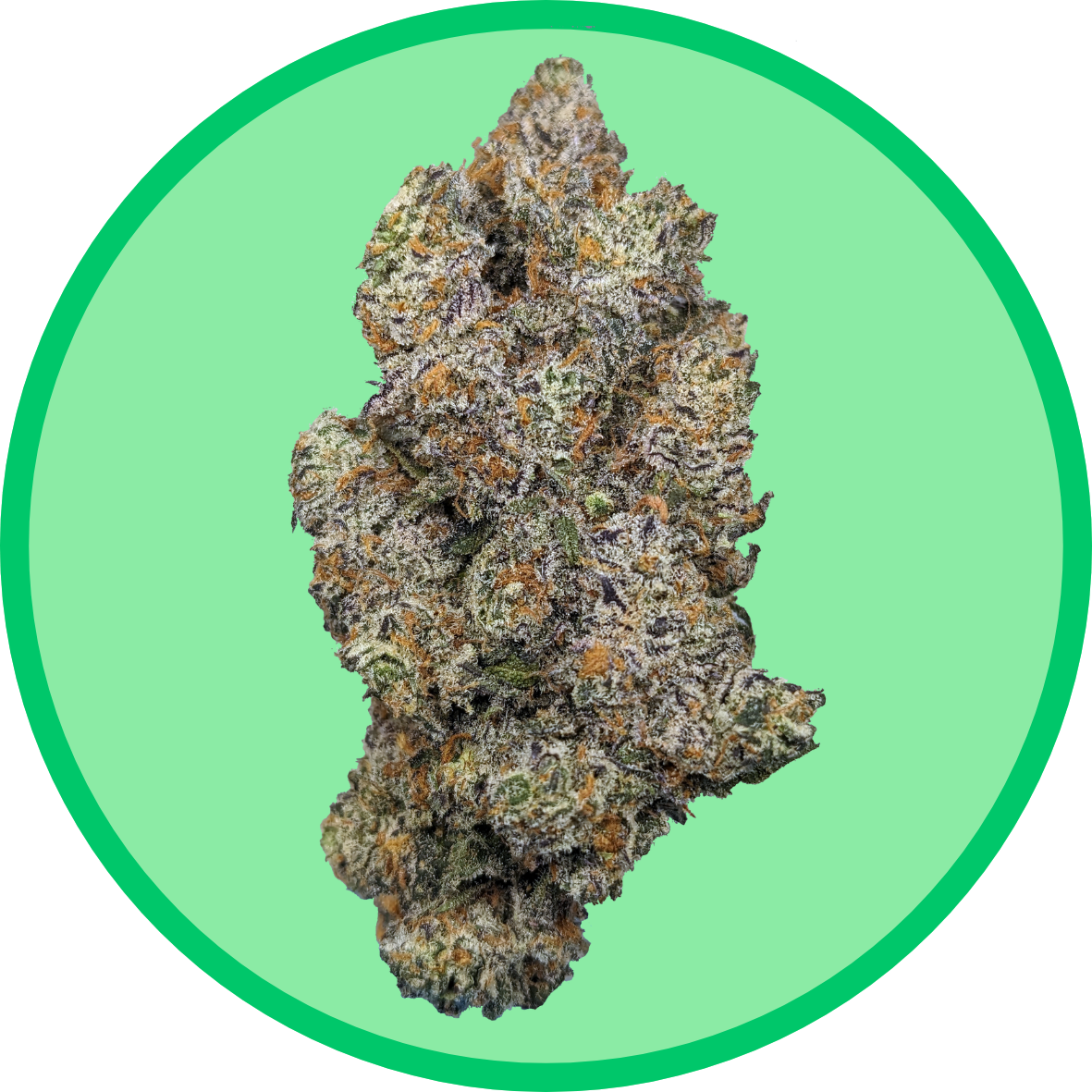 Categories - The Human Condition Shop