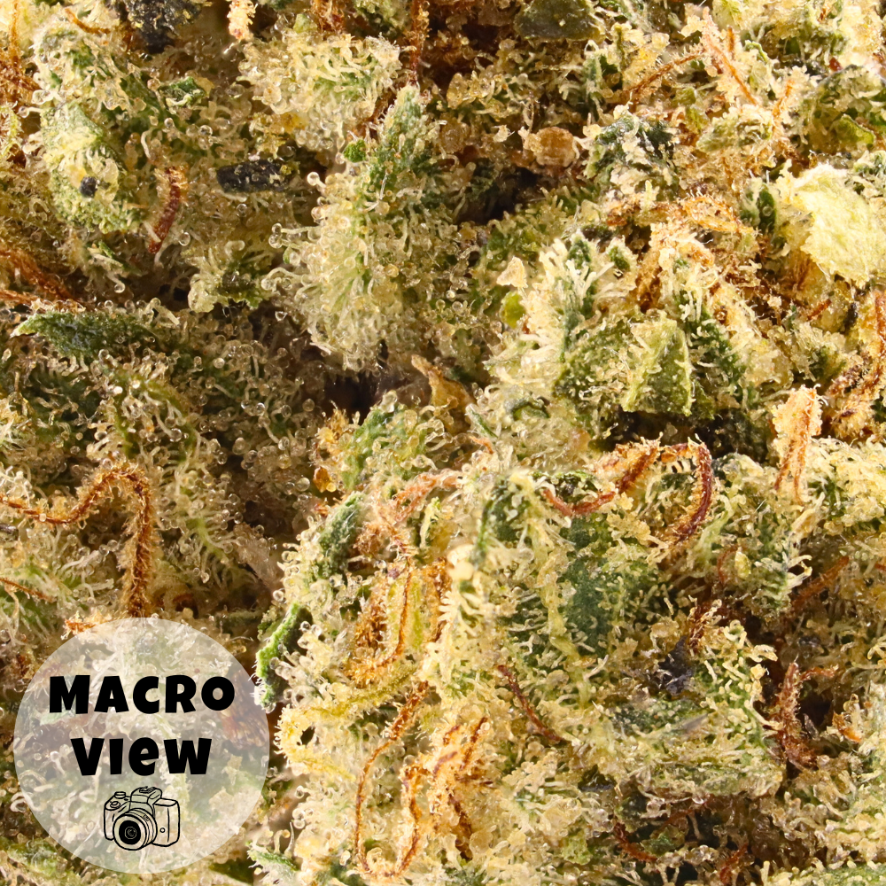 Gorilla Glue • Hybrid • Budget Buds • 34.94% THCa – The Human Condition Shop