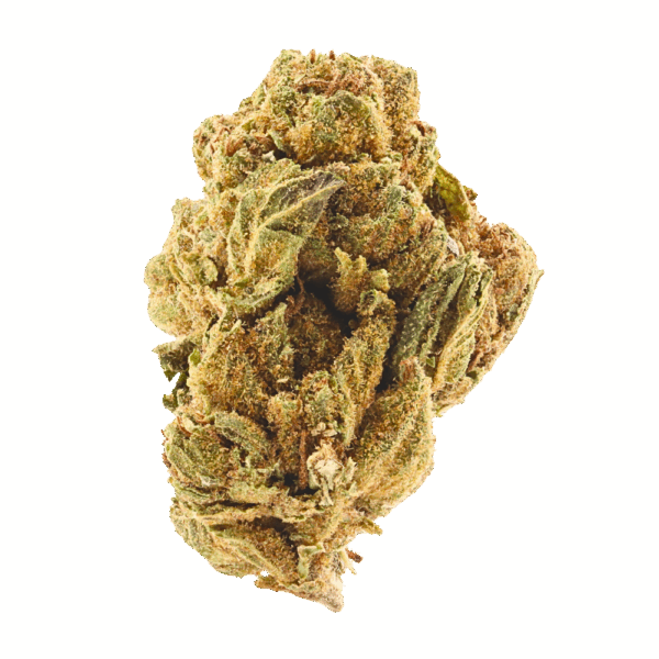Gelato King • Indica Hybrid • Budget Buds • 30.03% THCa – The Human ...
